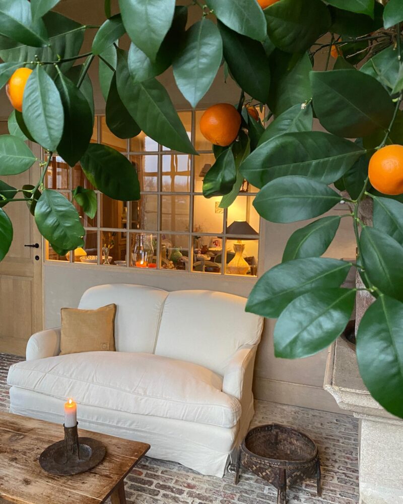 Belgian Design Inspiration & Gardens: A Timeless Home in Belgium ...