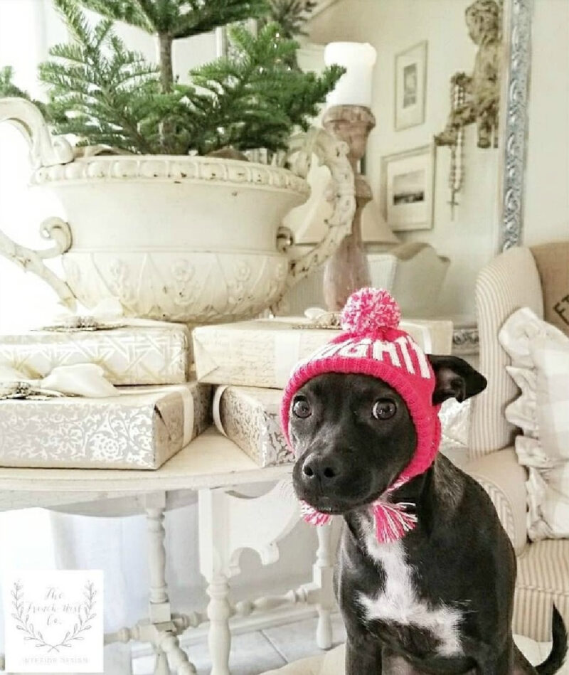 French Country Christmas House: How to Enchant for a Joyeux Noël ...