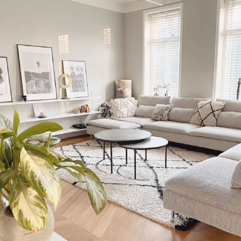 Need a Greyed White Neutral Paint Color to Try? - Hello Lovely