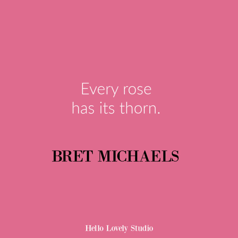 Snowy White Roses: How to See Encouragement Blooming in Winter - Hello ...