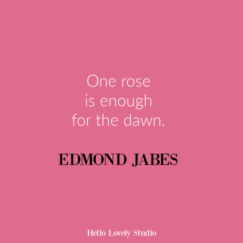 Snowy White Roses: How to See Encouragement Blooming in Winter - Hello ...