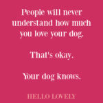 Which Lovely MINTED Holiday Card Will You Send? - Hello Lovely