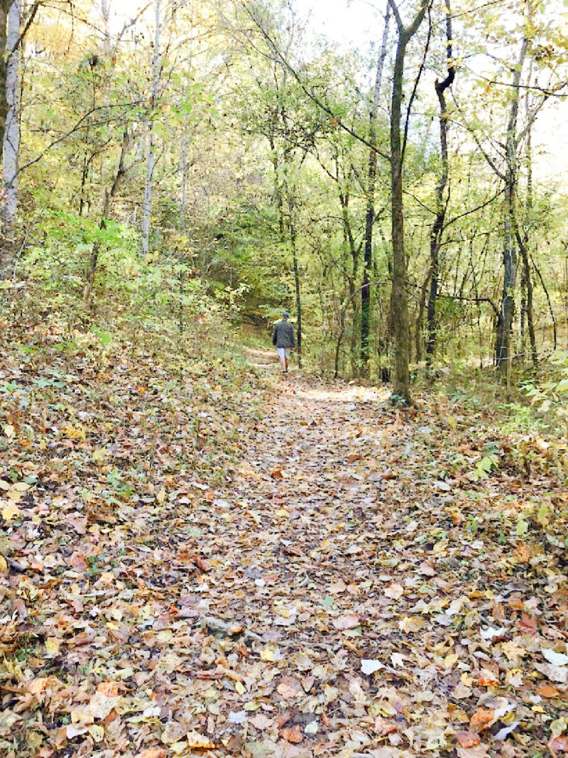 Falling for Autumn in Franklin, Tennessee & Why It is Well With My Soul ...
