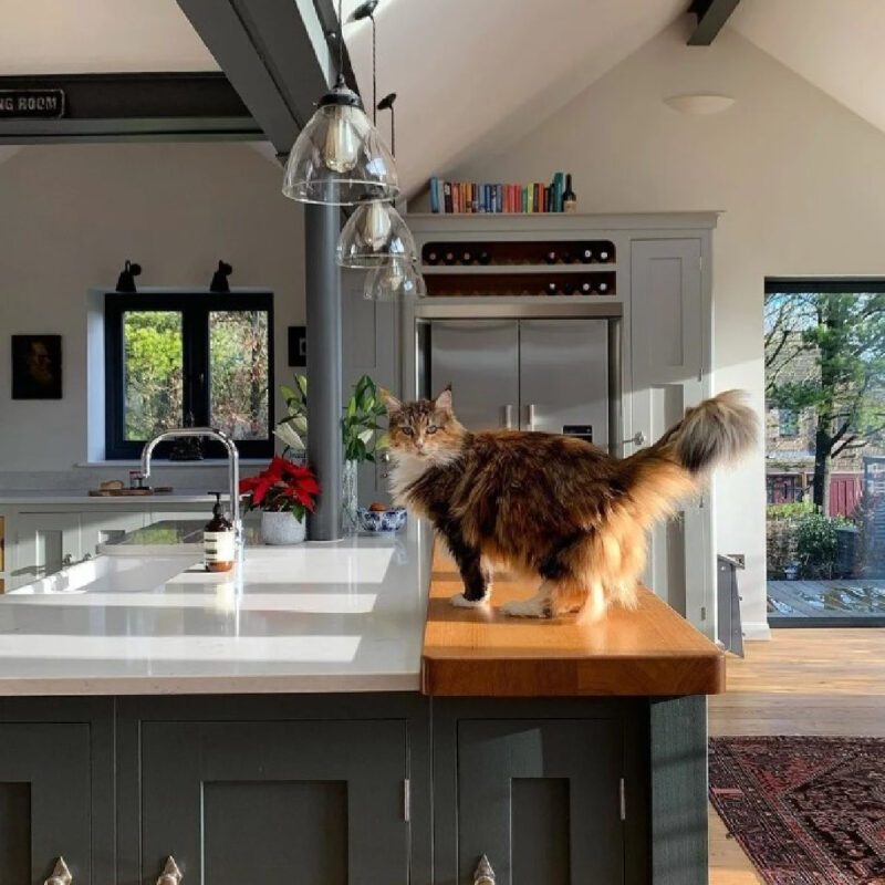 Farrow & Ball Colors to Love + Euro-Country Interiors - Hello Lovely