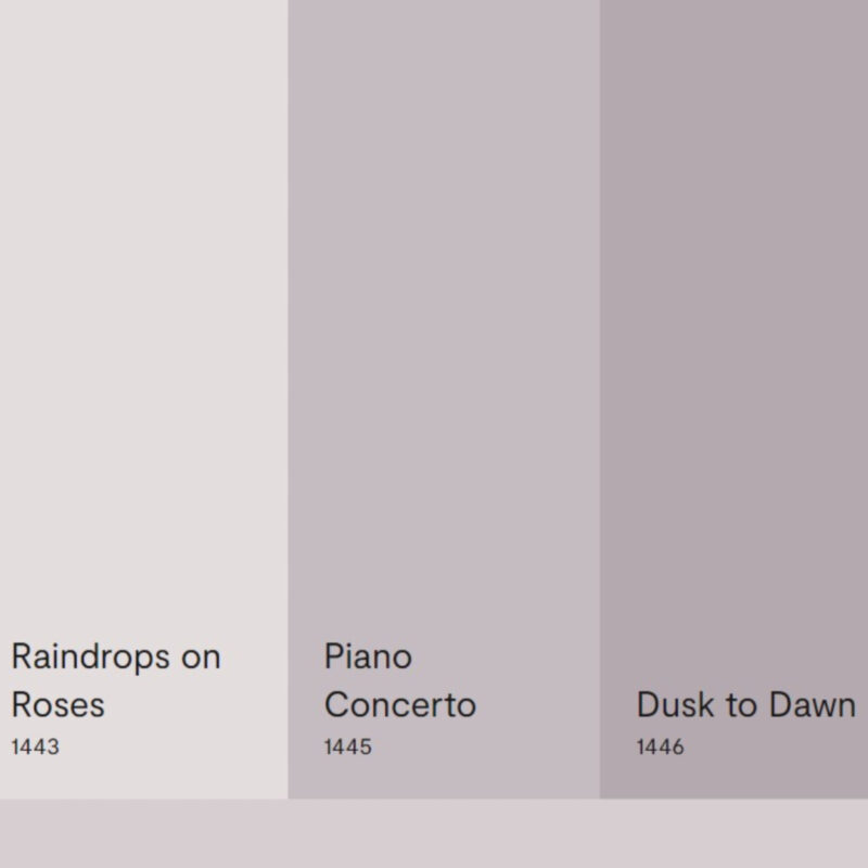 2023 Paint Color Trends from Benjamin Moore: Is Bold the New Black Now ...