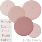 Earthy Pink Paint Color Ideas With Longevity & Livability in Mind ...