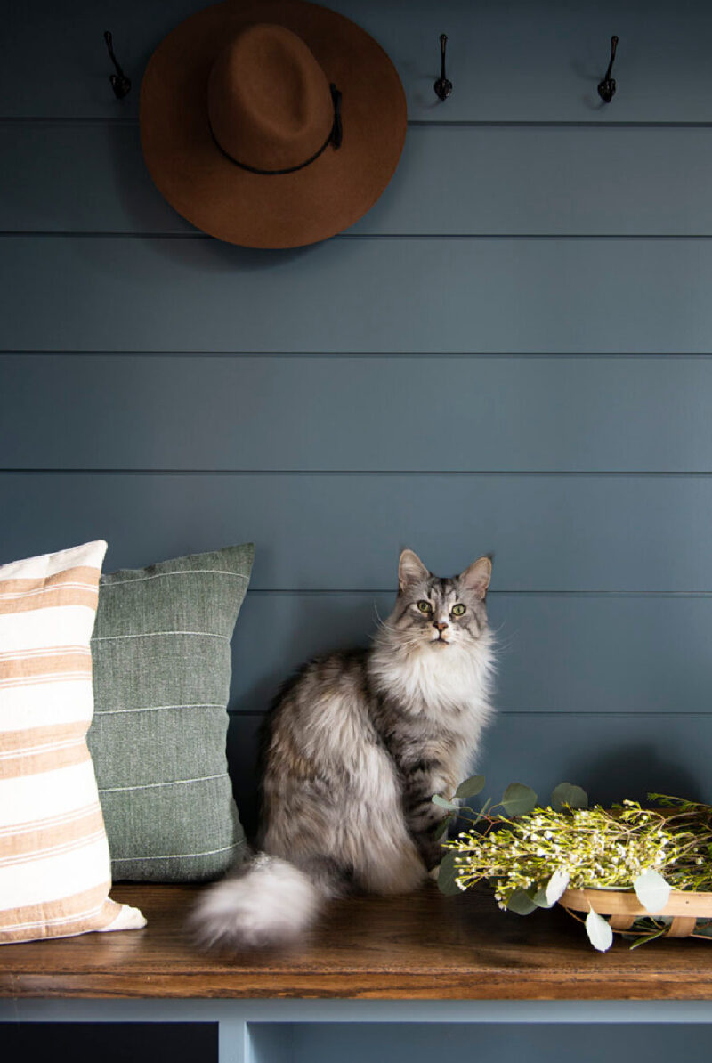 Slate Blue Paint Color Ideas Now - Hello Lovely