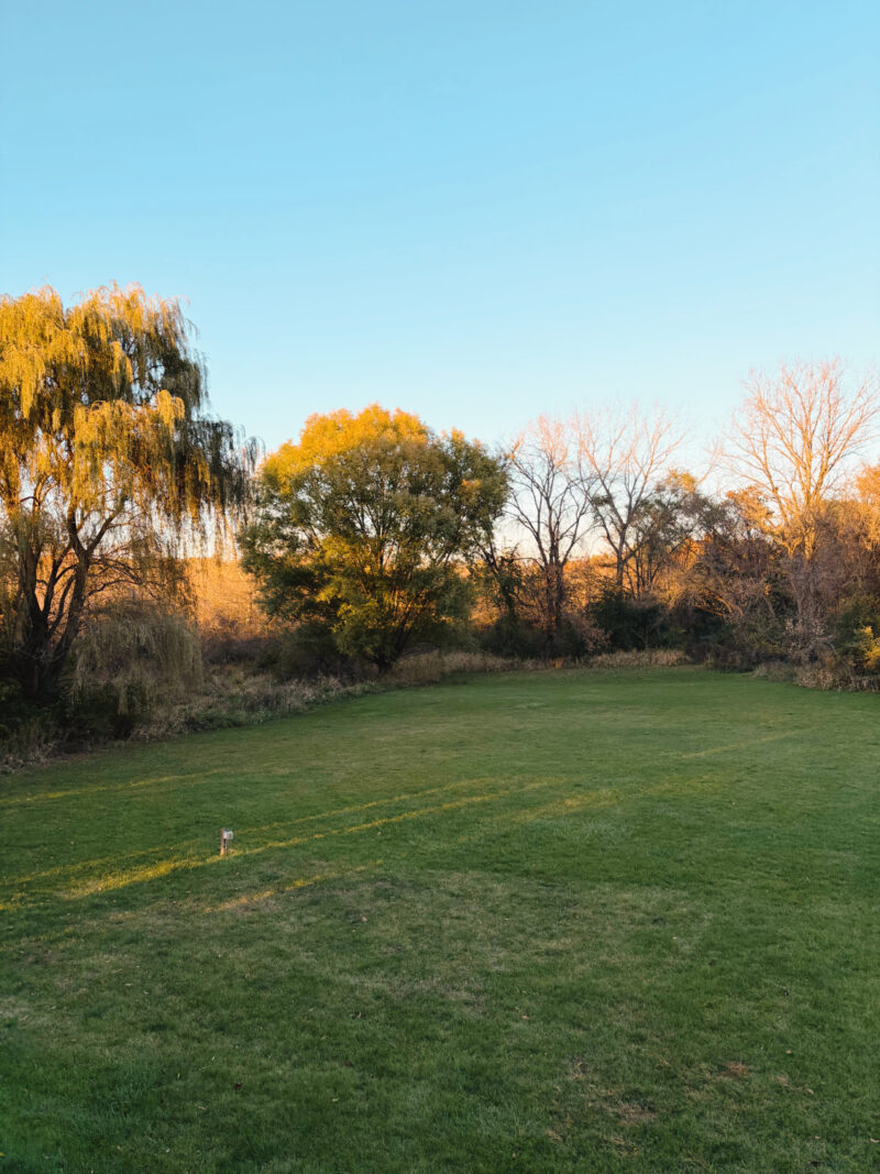 Secrets, November Goodness & Random Loveliness - Hello Lovely